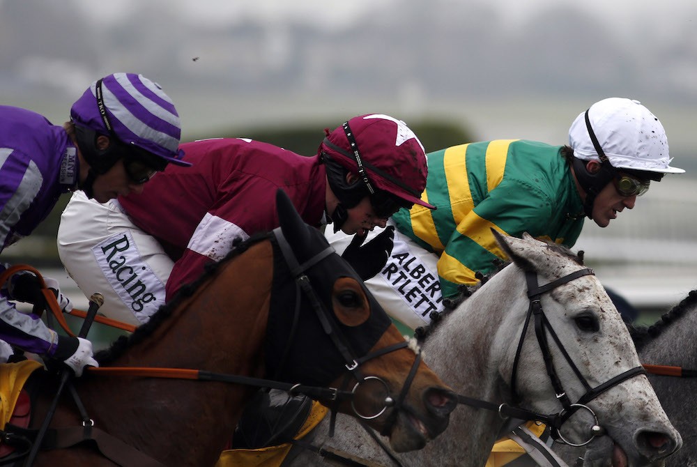 Timico Sponsors Cheltenham Gold Cup - Sport Industry Group